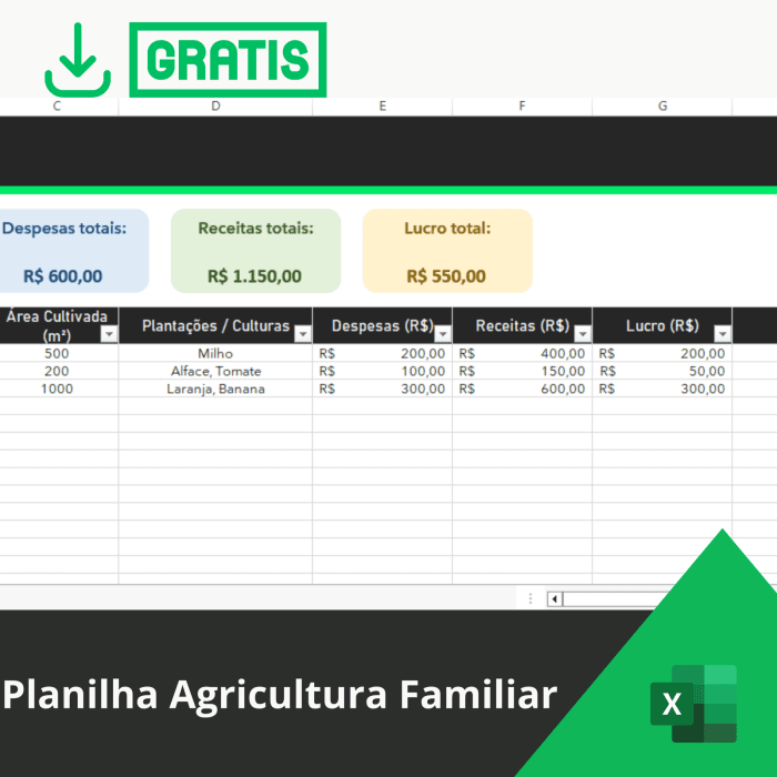 Planilha Agricultura Familiar - Smart Planilhas